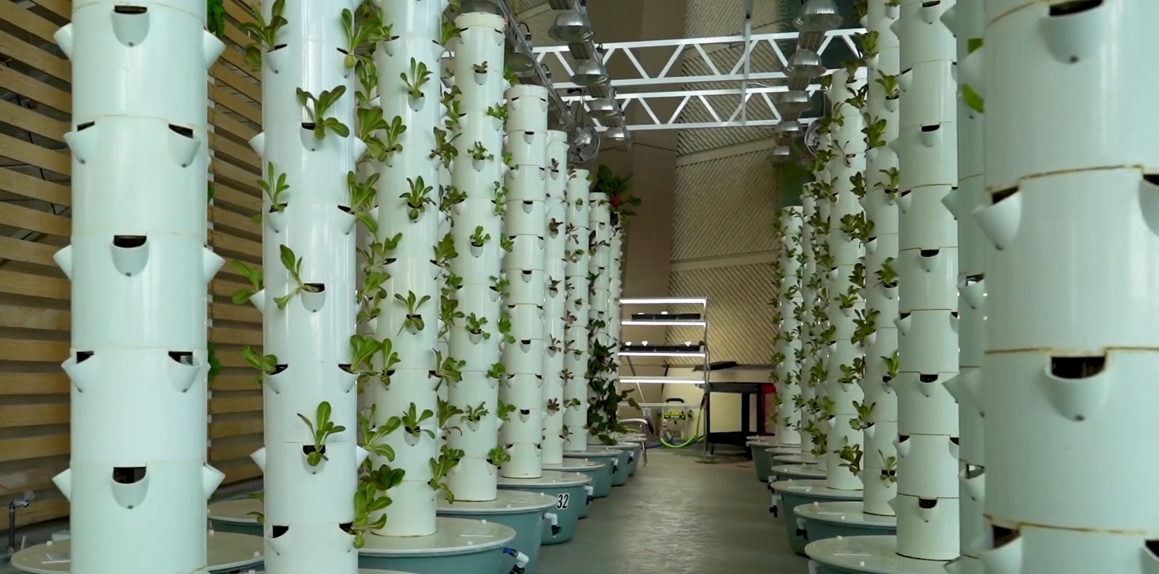 Exploring the Benefits of an Aeroponic Tower for Urban Gardening ...